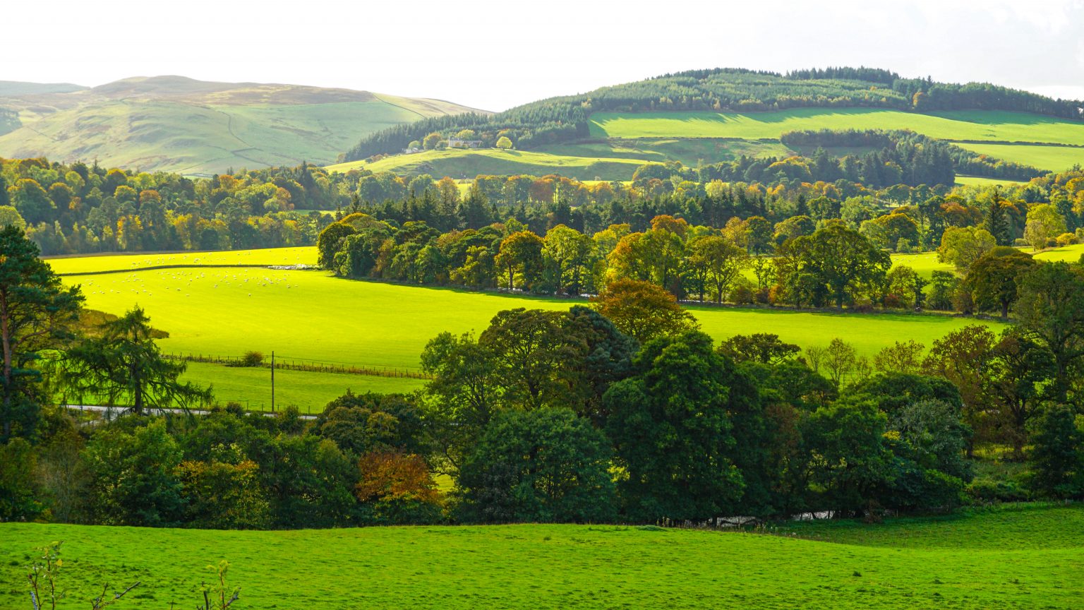 A day trip to Peebles from Edinburgh - Empnefsys & Travel