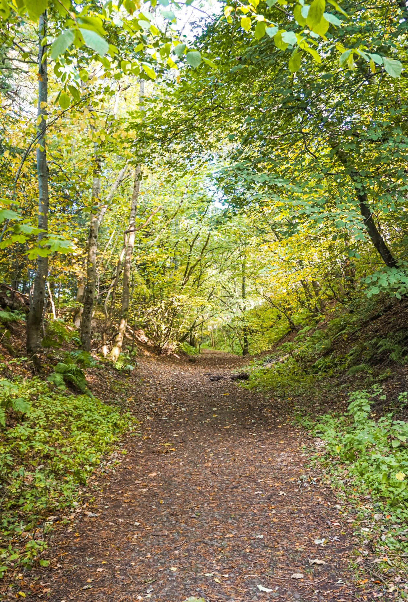 A day trip to Peebles from Edinburgh - Empnefsys & Travel