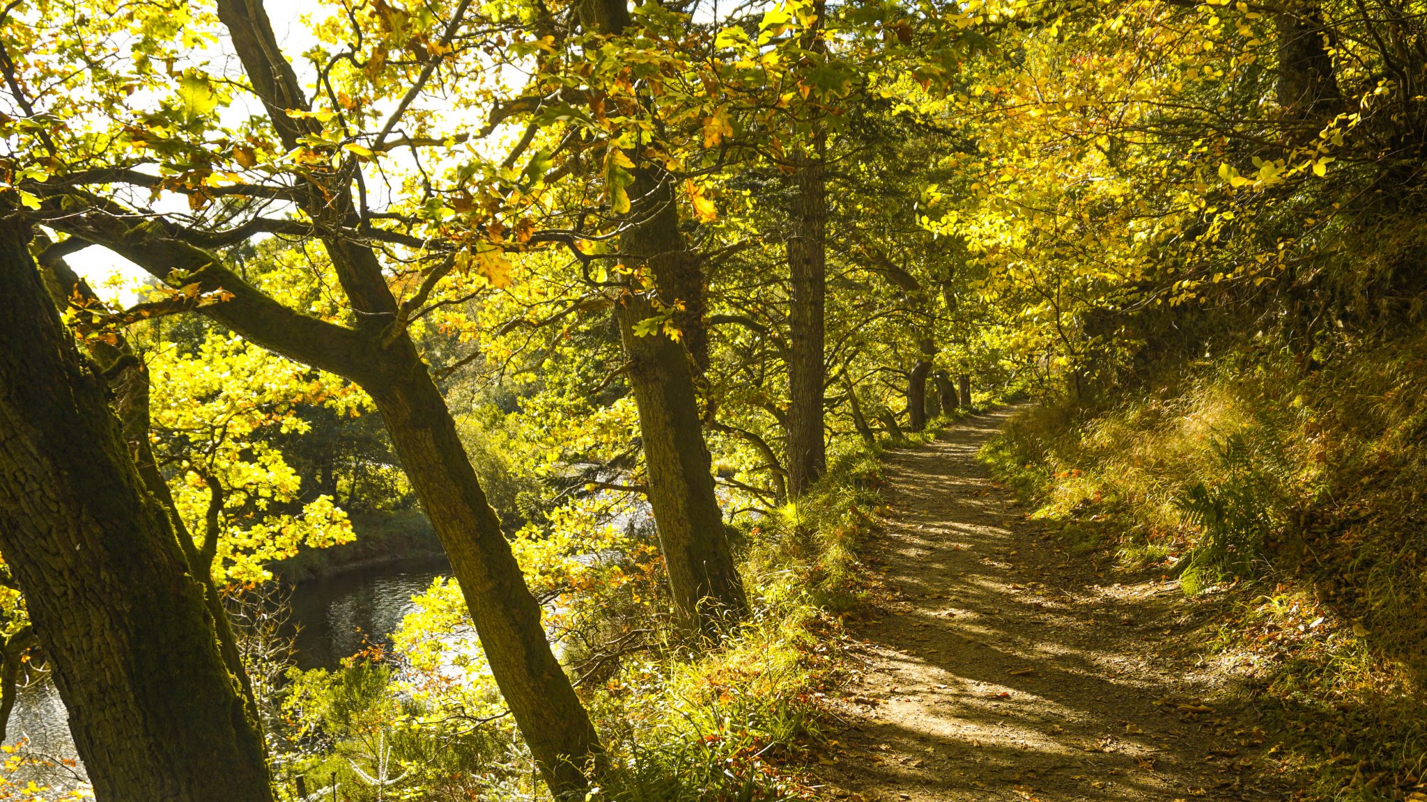 A day trip to Peebles from Edinburgh - Empnefsys & Travel