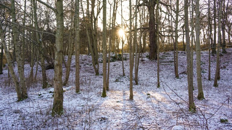 A day trip to Roslin from Edinburgh - Empnefsys & Travel