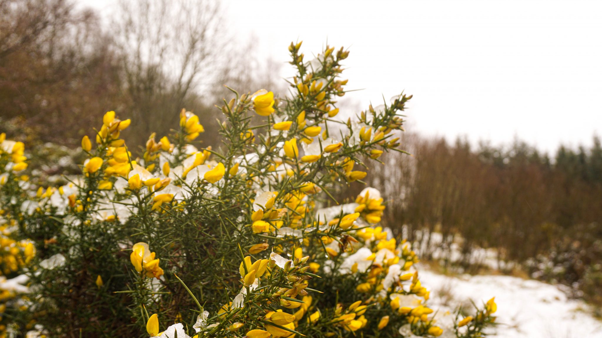 A weekend in Callander, Scotland - Empnefsys & Travel