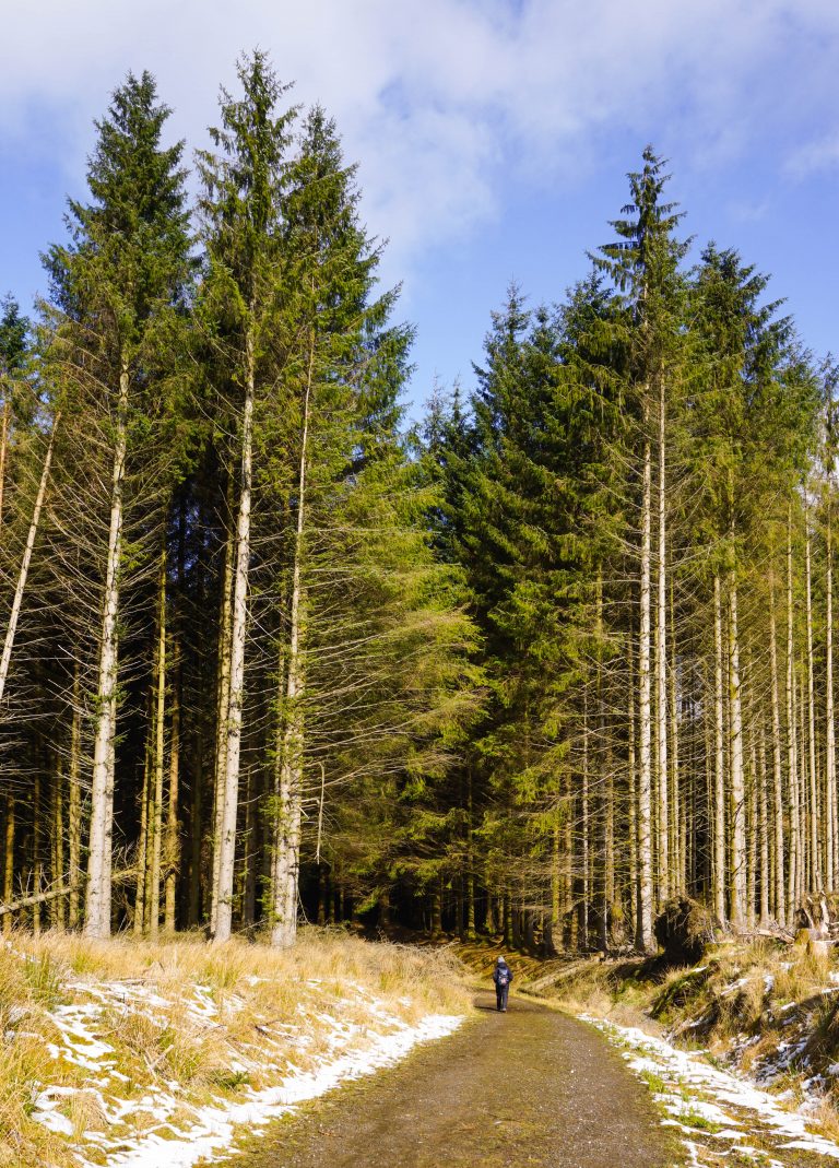 A weekend in Callander, Scotland - Empnefsys & Travel